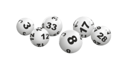 Florida - Lotto NoteBook Software